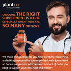 turmeric curcumin supplement for wellness