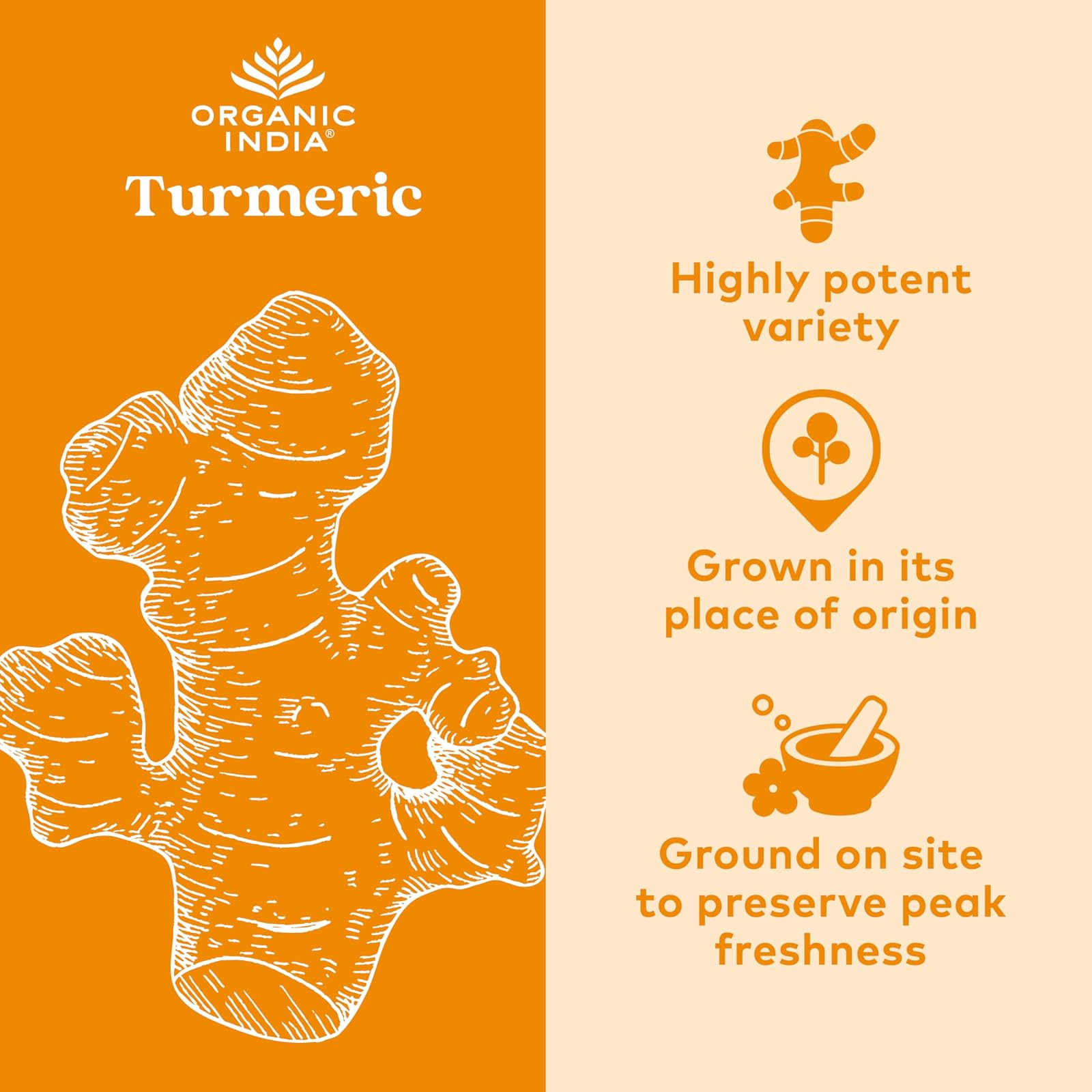 turmeric curcumin with black pepper