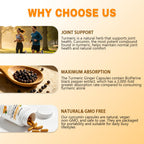 turmeric curcumin with vitamin C