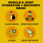 Turmeric electrolyte powder for hydration