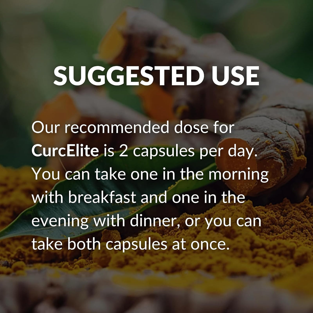 turmeric extract for daily vitality