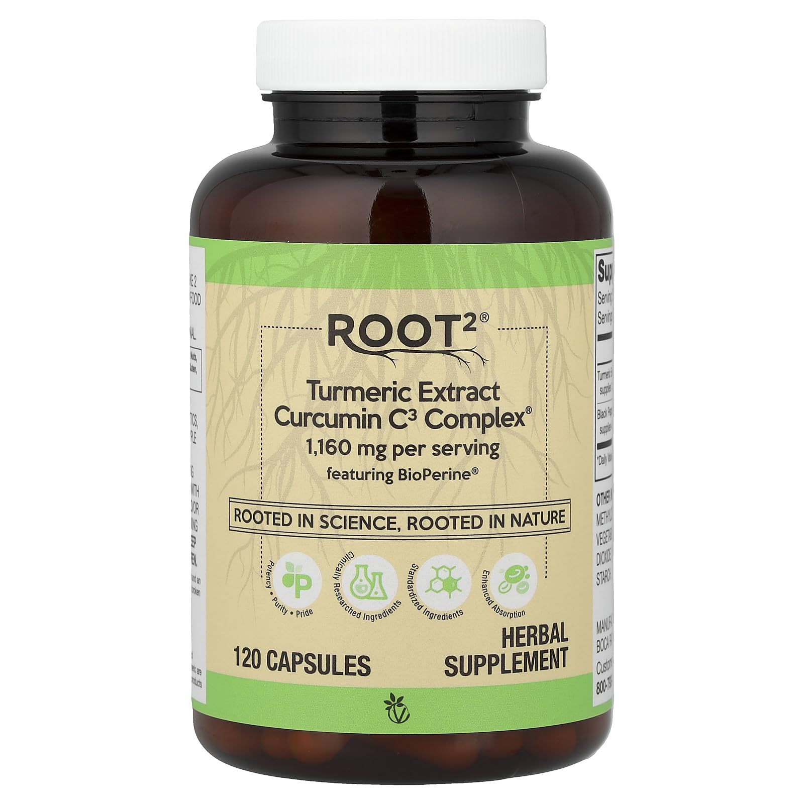 turmeric extract for natural wellness