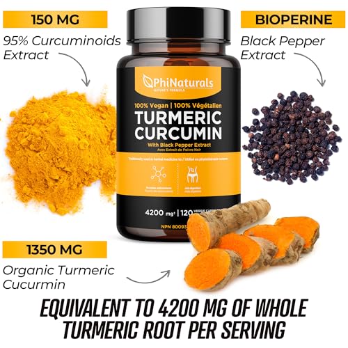 turmeric for digestive support