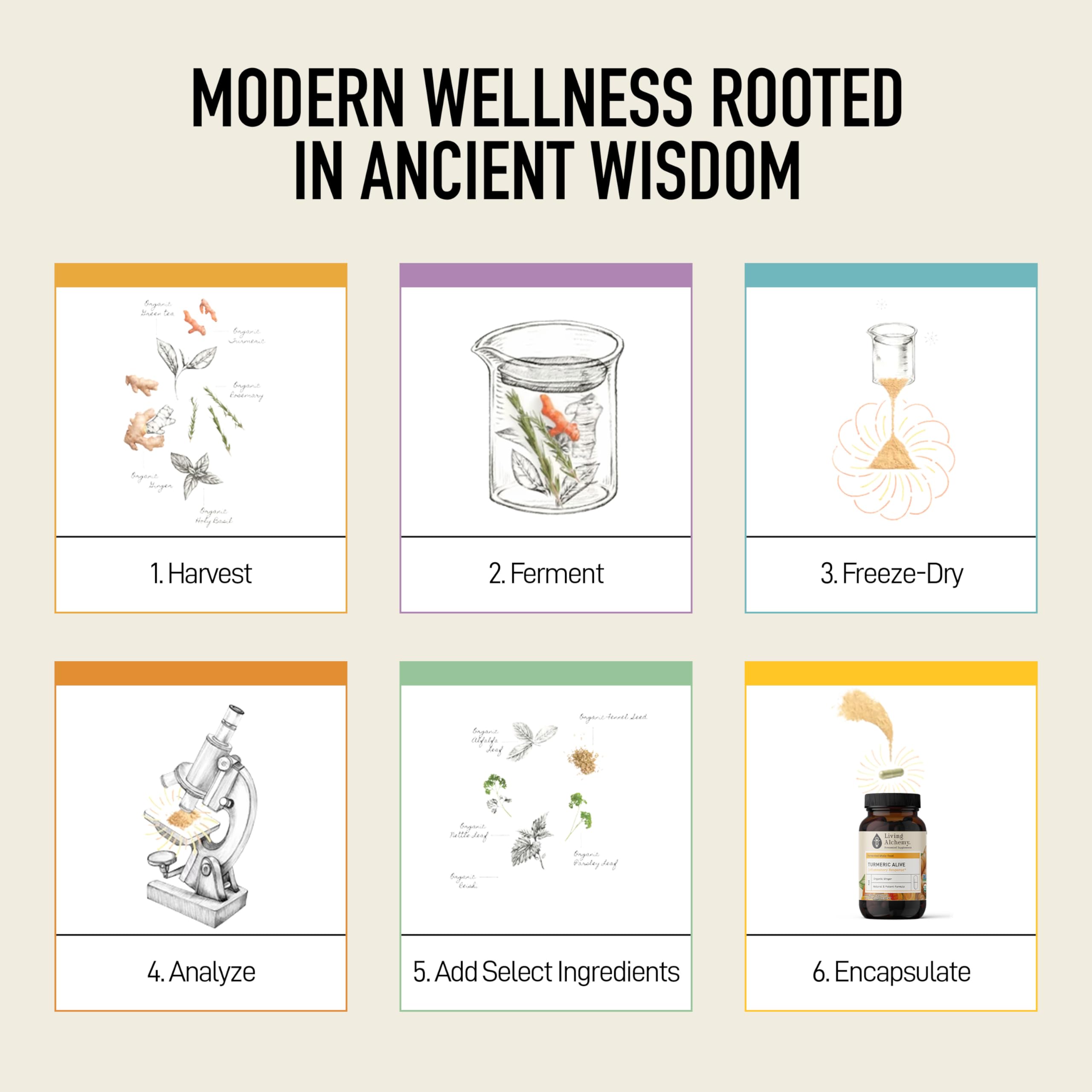 turmeric for enhanced physical performance