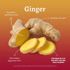 turmeric ginger tea for vitality