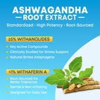 turmeric infused ashwagandha gummies
