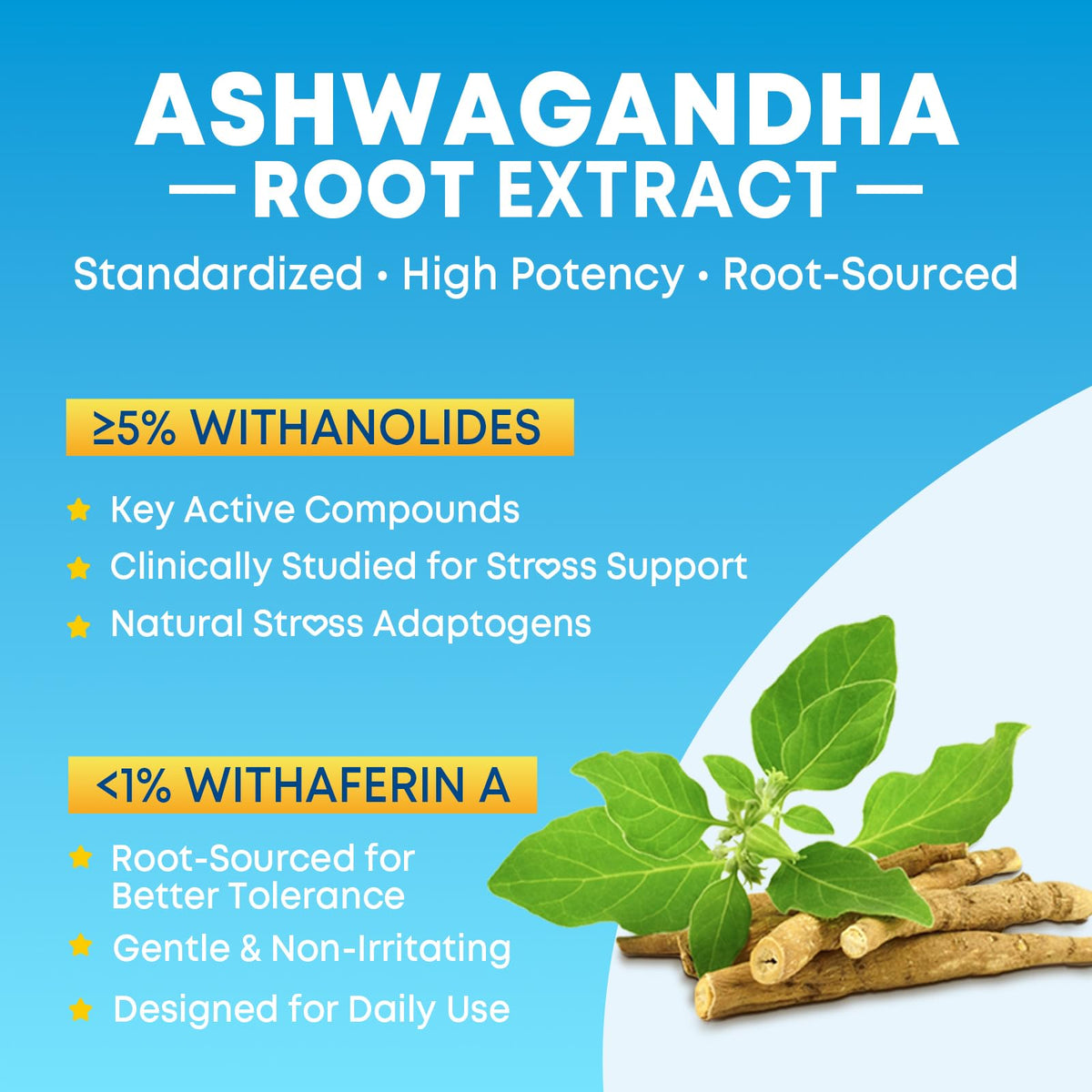 turmeric infused ashwagandha gummies