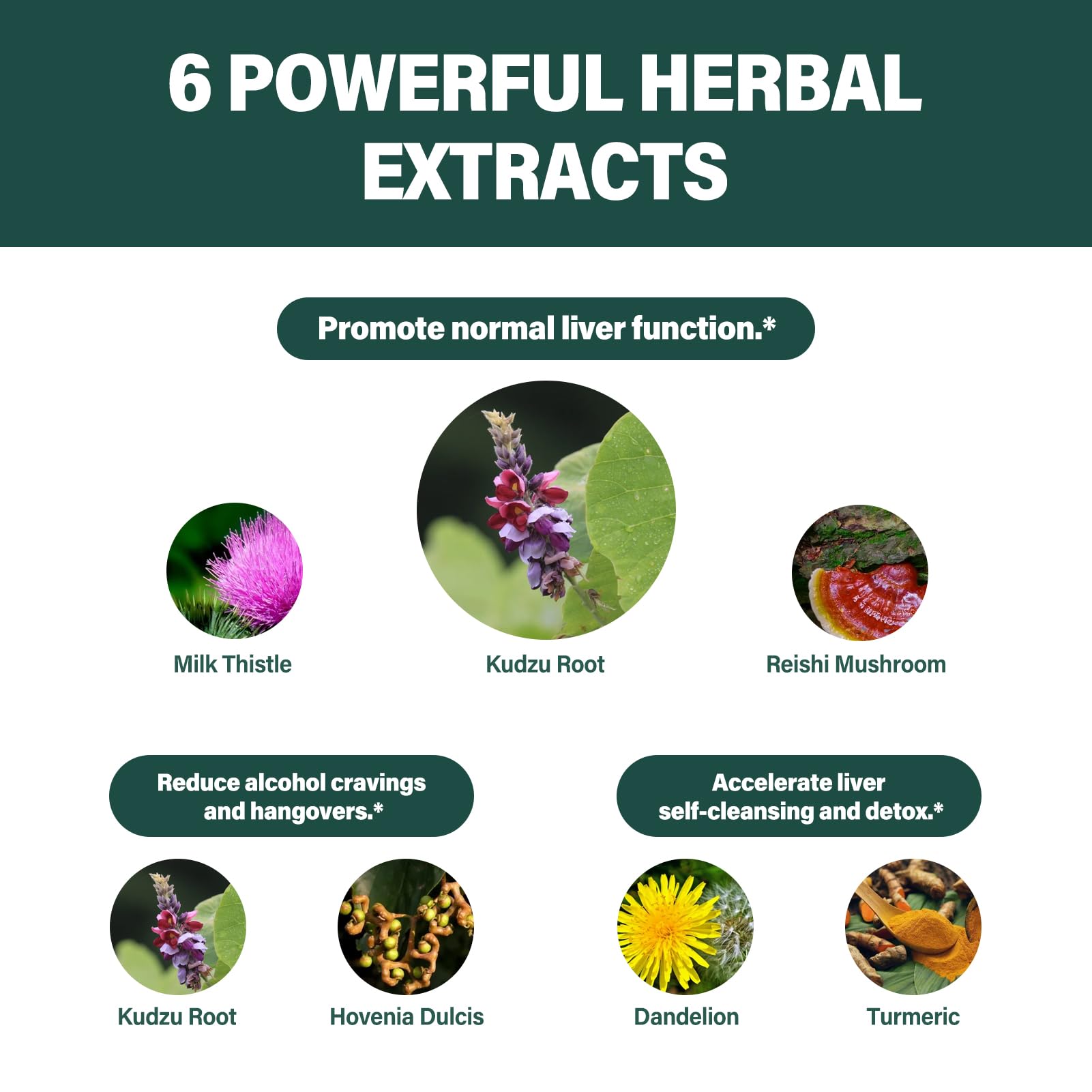 turmeric infused herbal extract