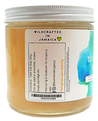 turmeric infused sea moss gel