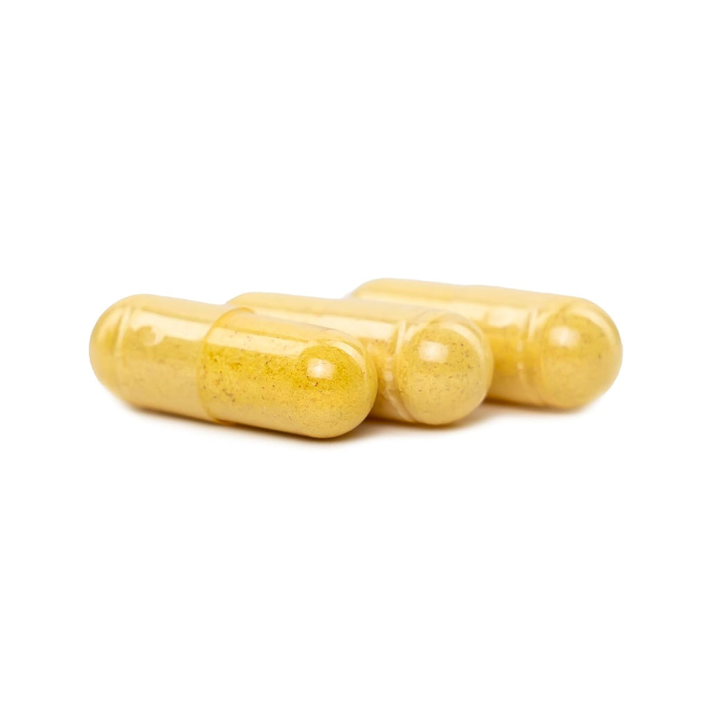 turmeric MSM for healthy joints