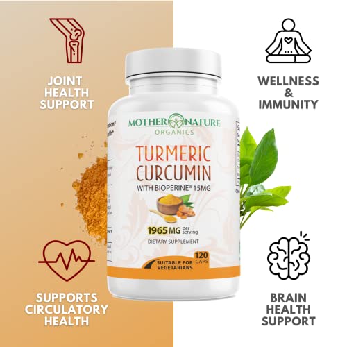 turmeric powder for immune support
