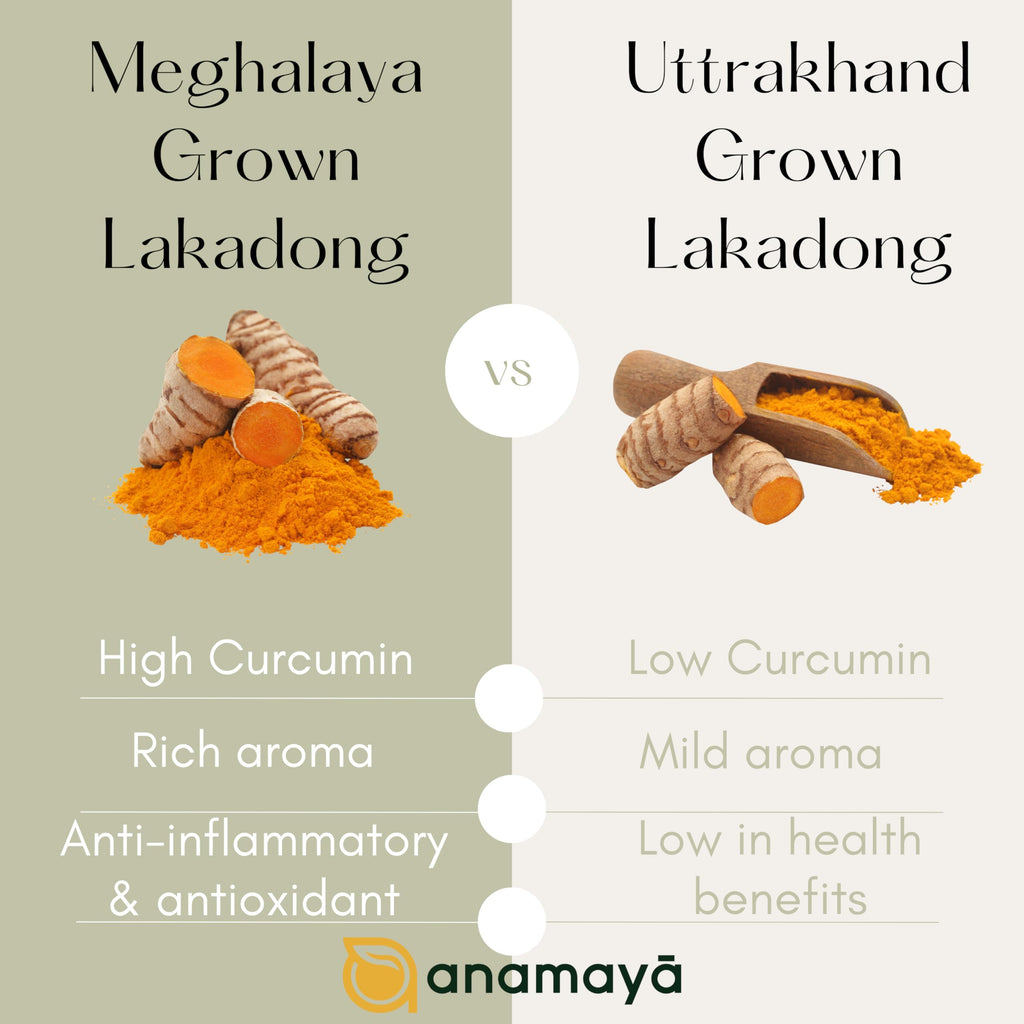 Turmeric powder rich in antioxidants