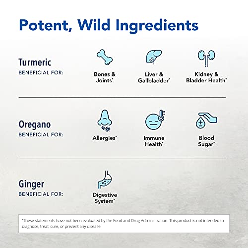 turmeric power for immune boost