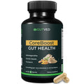 turmeric probiotic for digestive health