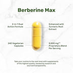 turmeric root extract benefits