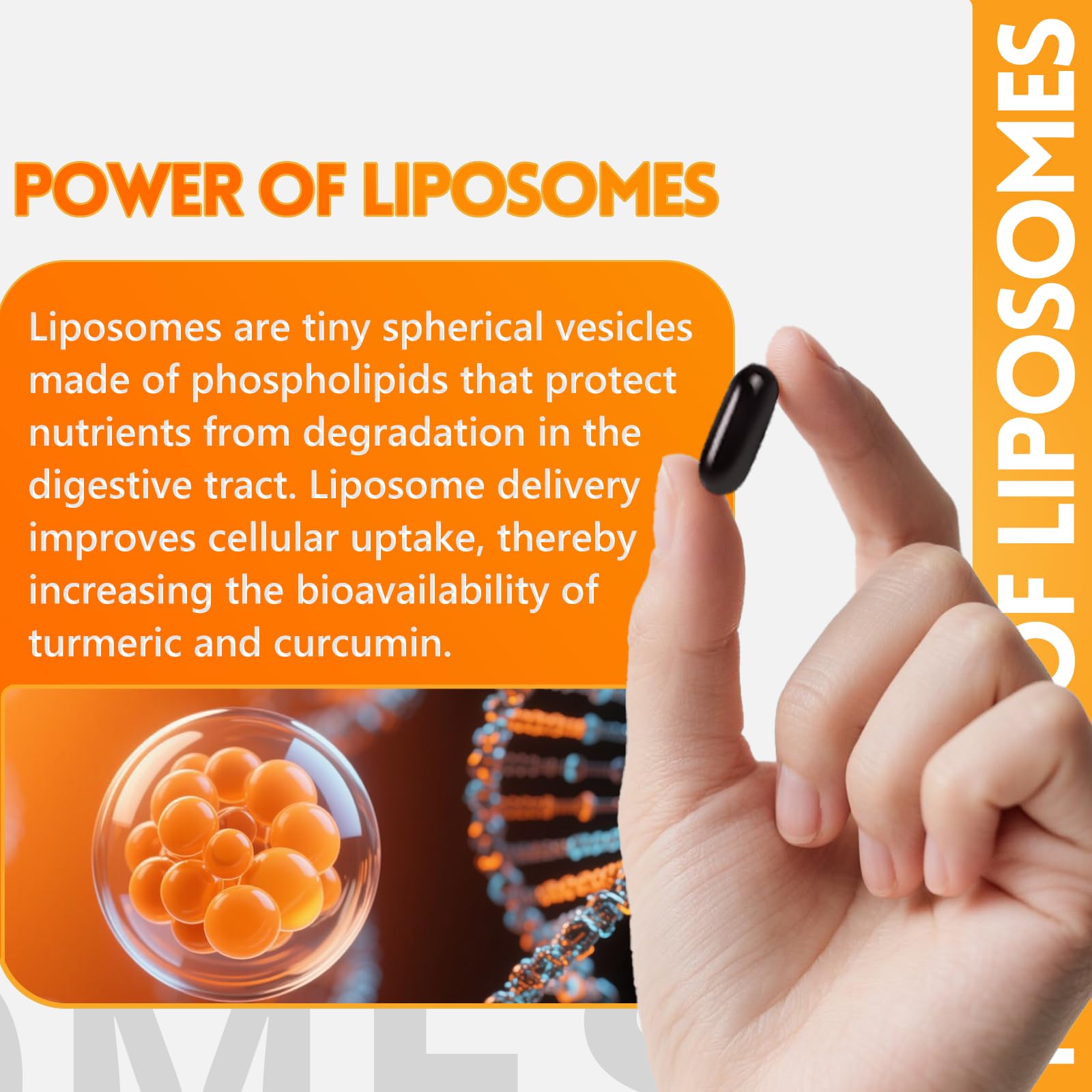 turmeric softgels for daily use
