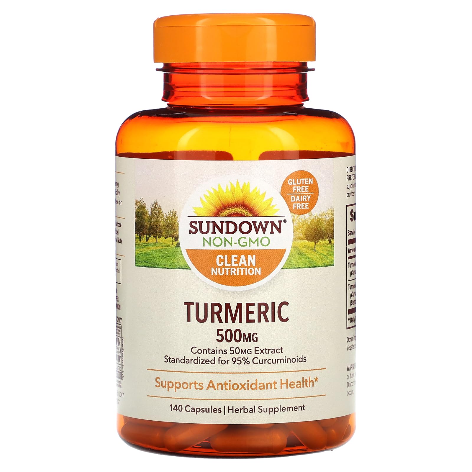 turmeric supplement for antioxidant support