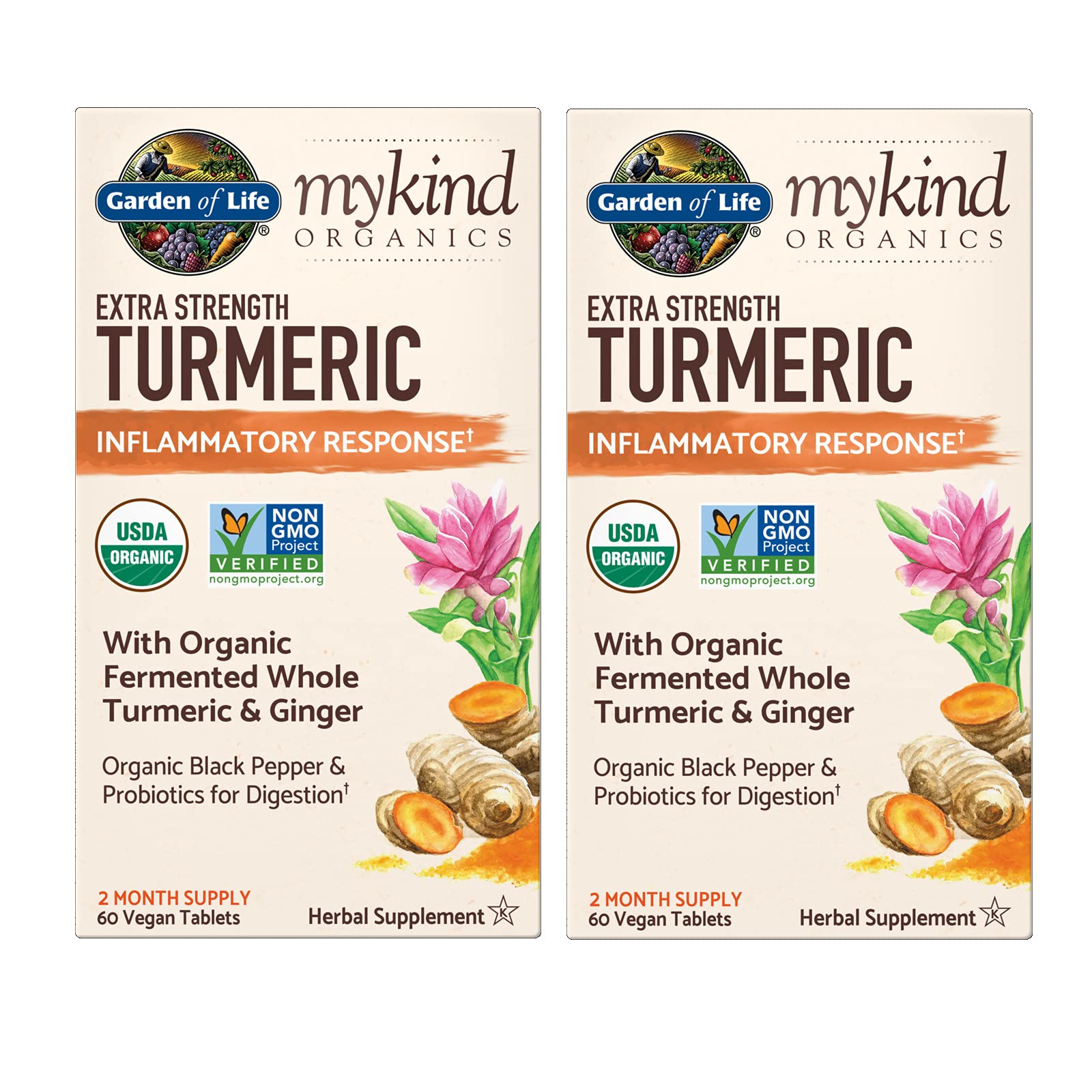 turmeric supplement for digestion support