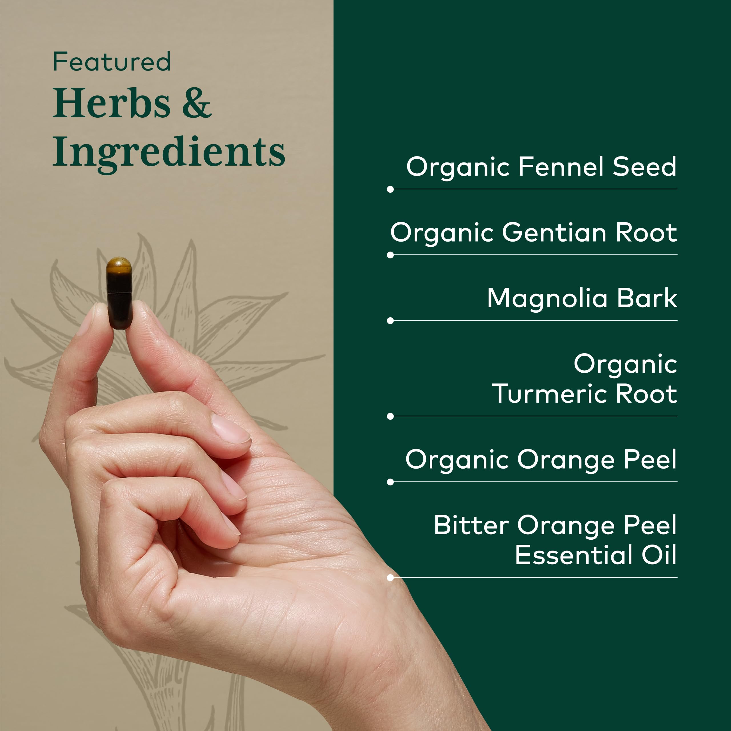 turmeric supplement for improved motility
