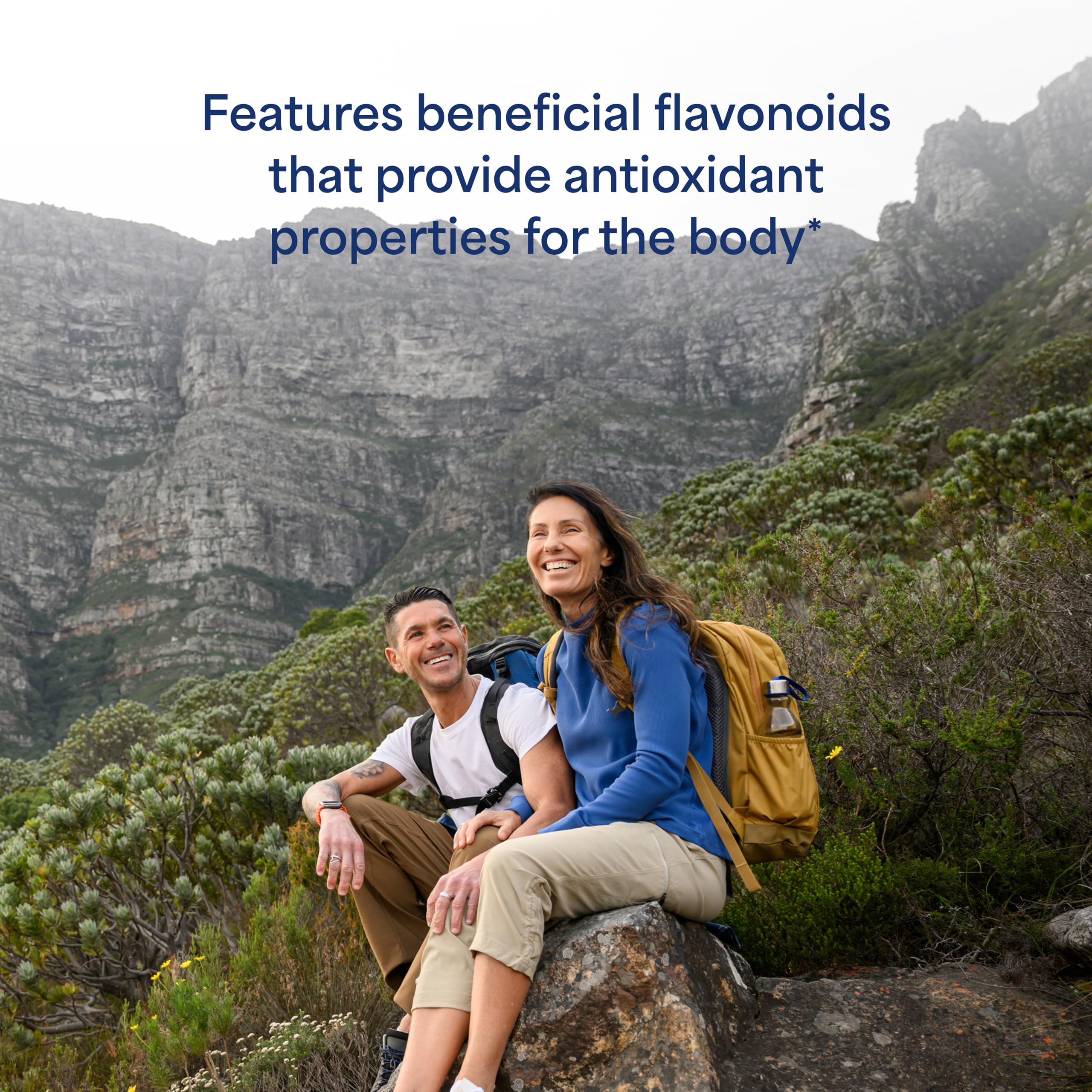 turmeric supplement for inflammation relief