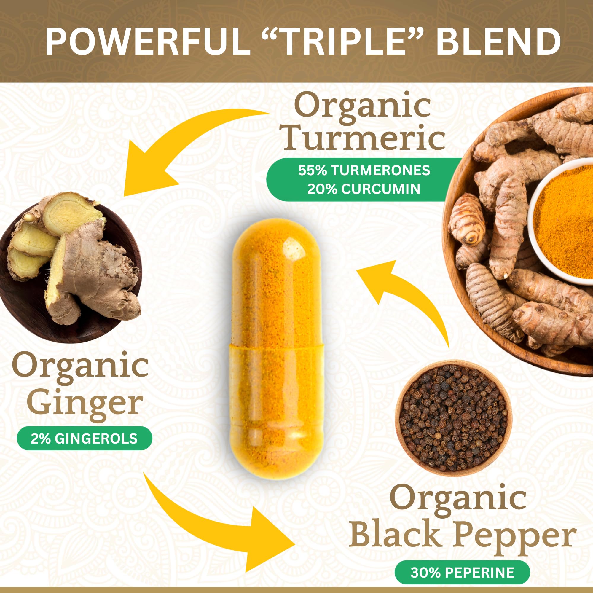 turmeric supplement for inflammation relief