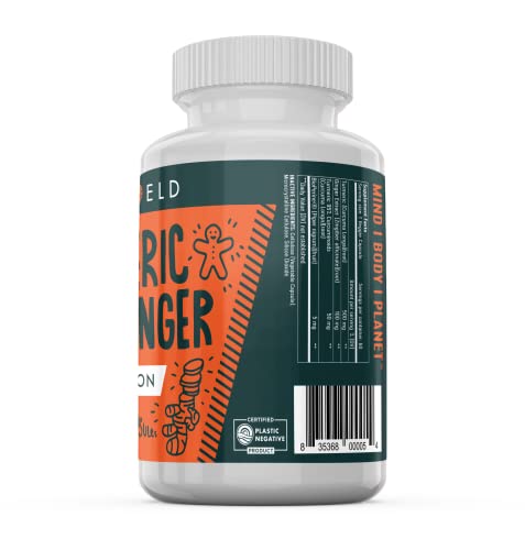 turmeric supplement for joint health