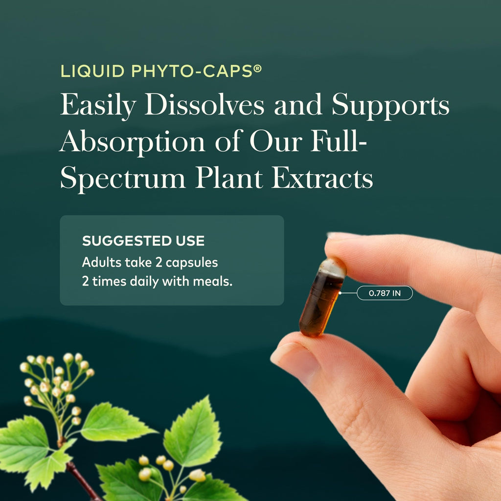 turmeric supplement for mobility