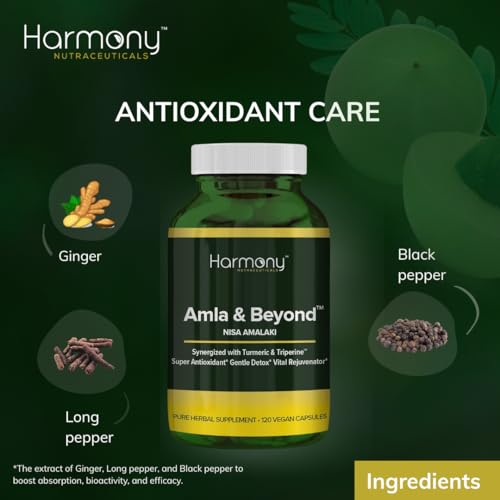 turmeric supplement for vitality