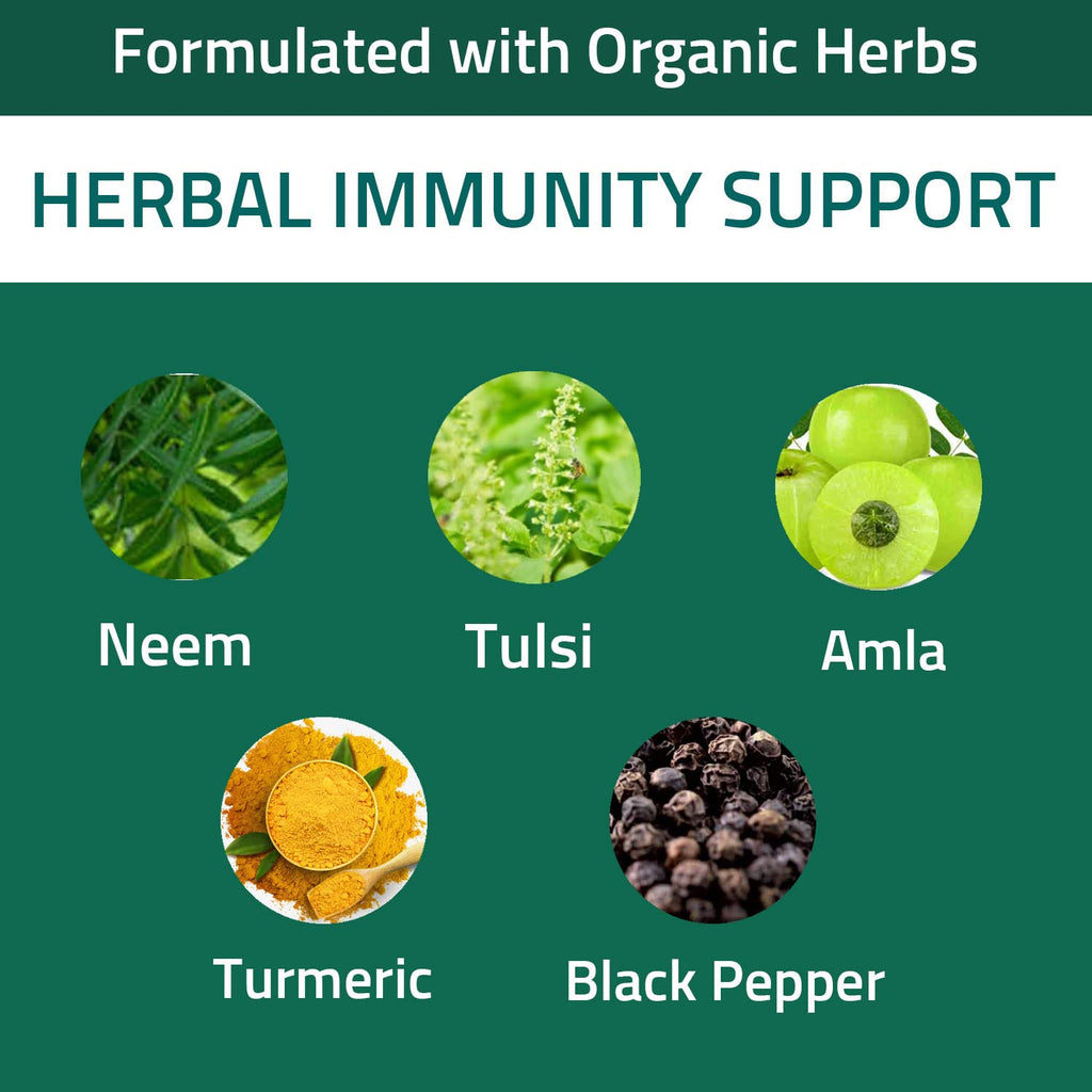 turmeric supplement with organic ingredients