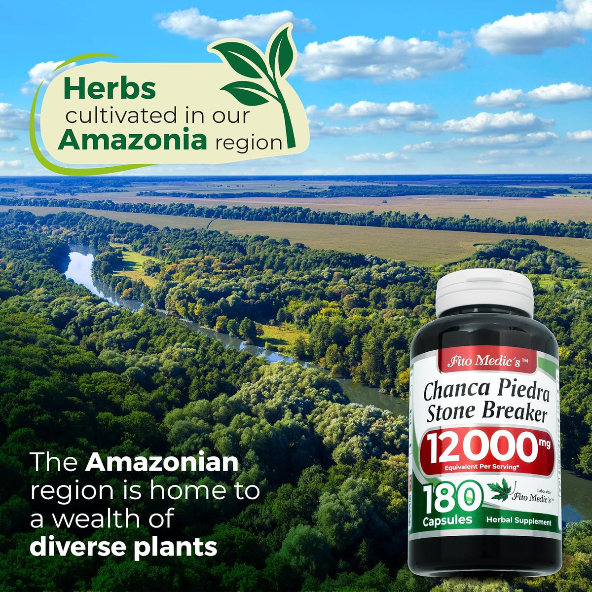turmeric tea alternative in capsules