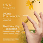 turmeric tea alternative in tablet form