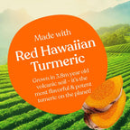 turmeric tea for everyday wellness