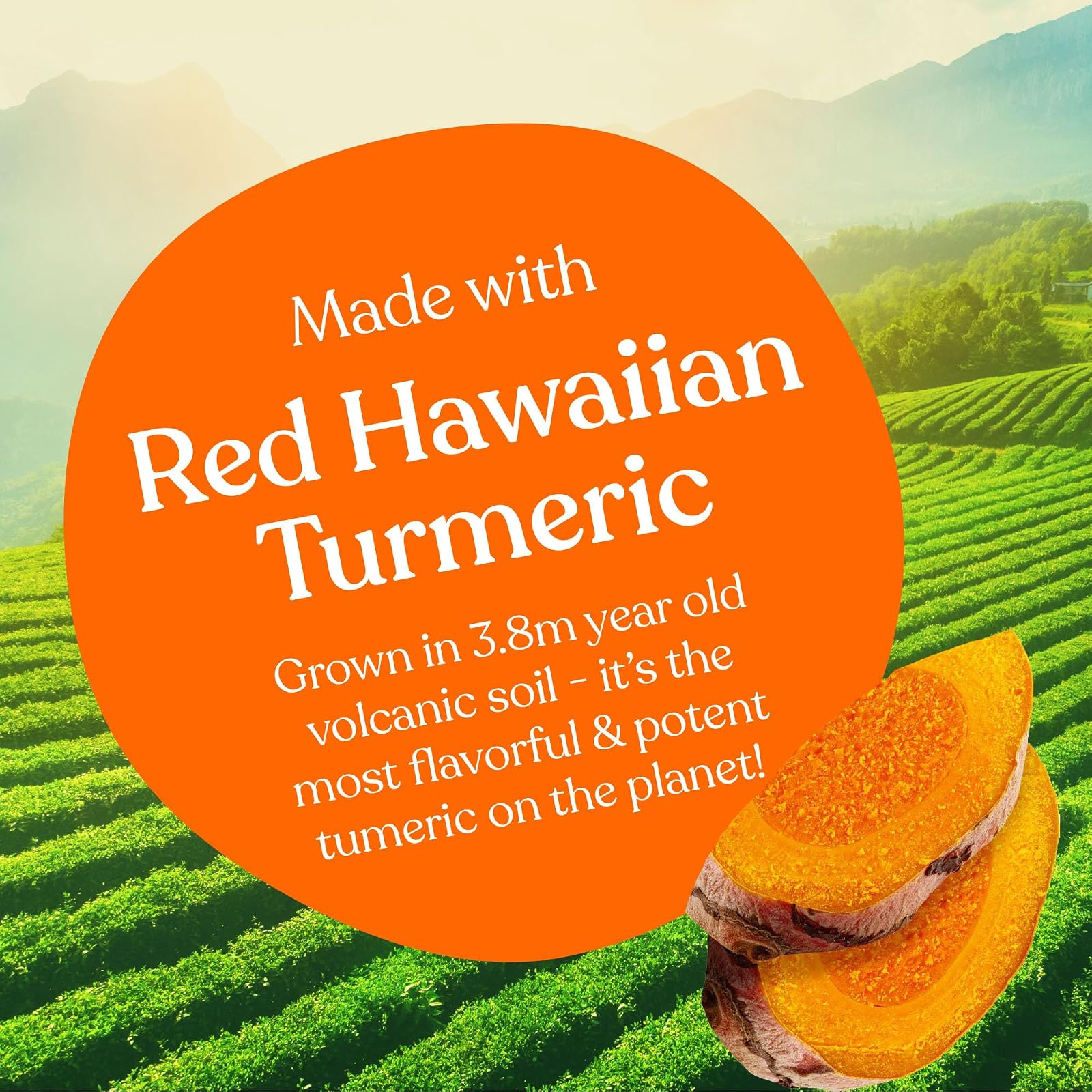 turmeric tea for everyday wellness