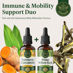 turmeric tea made with curcumin