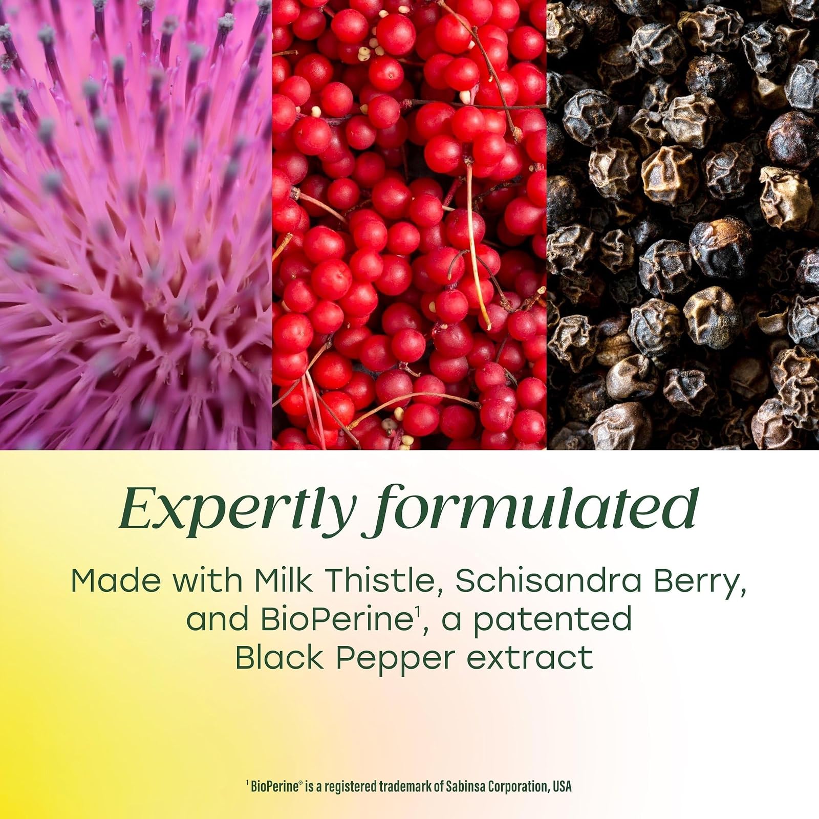 turmeric tea with curcumin extract