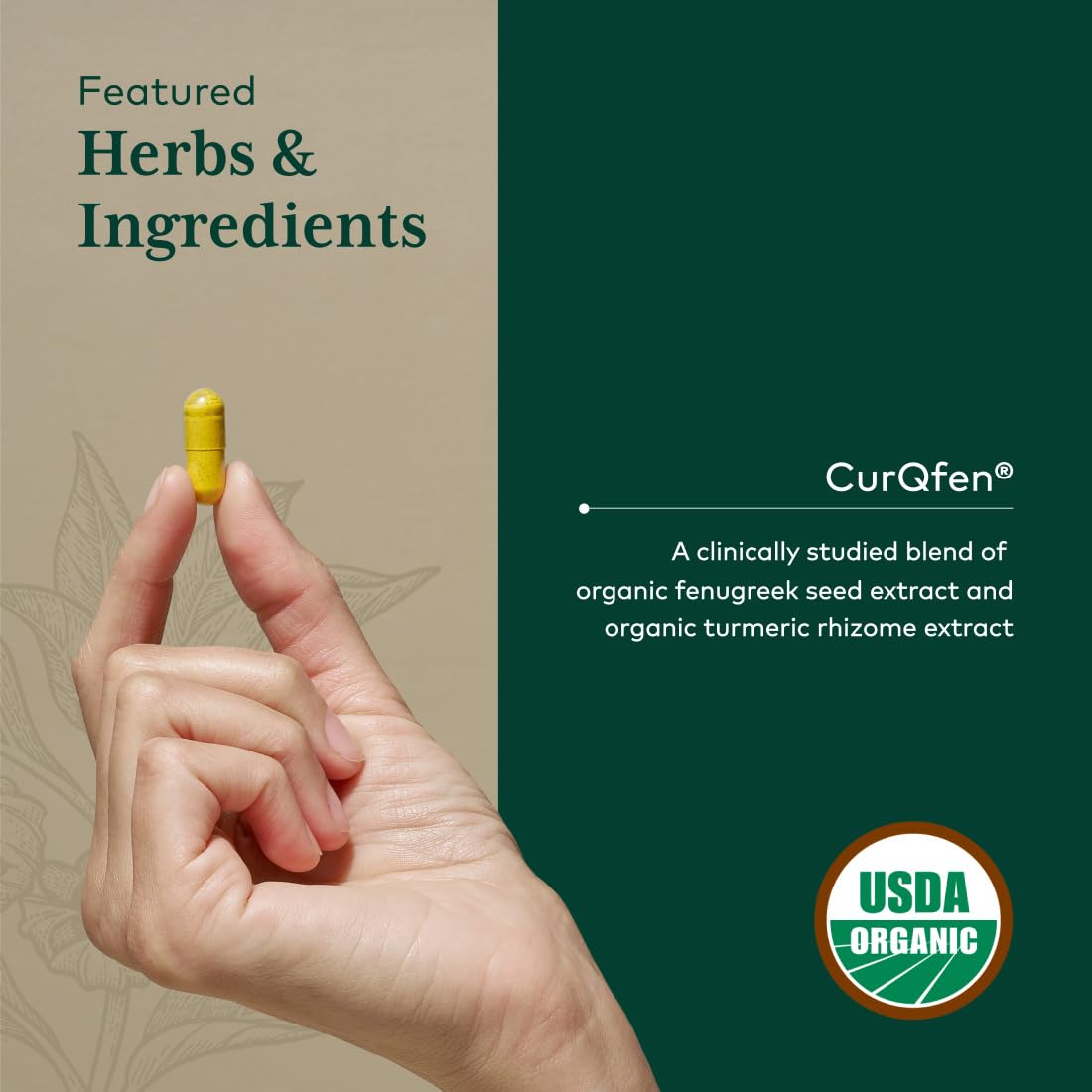 turmeric tea with fenugreek extract