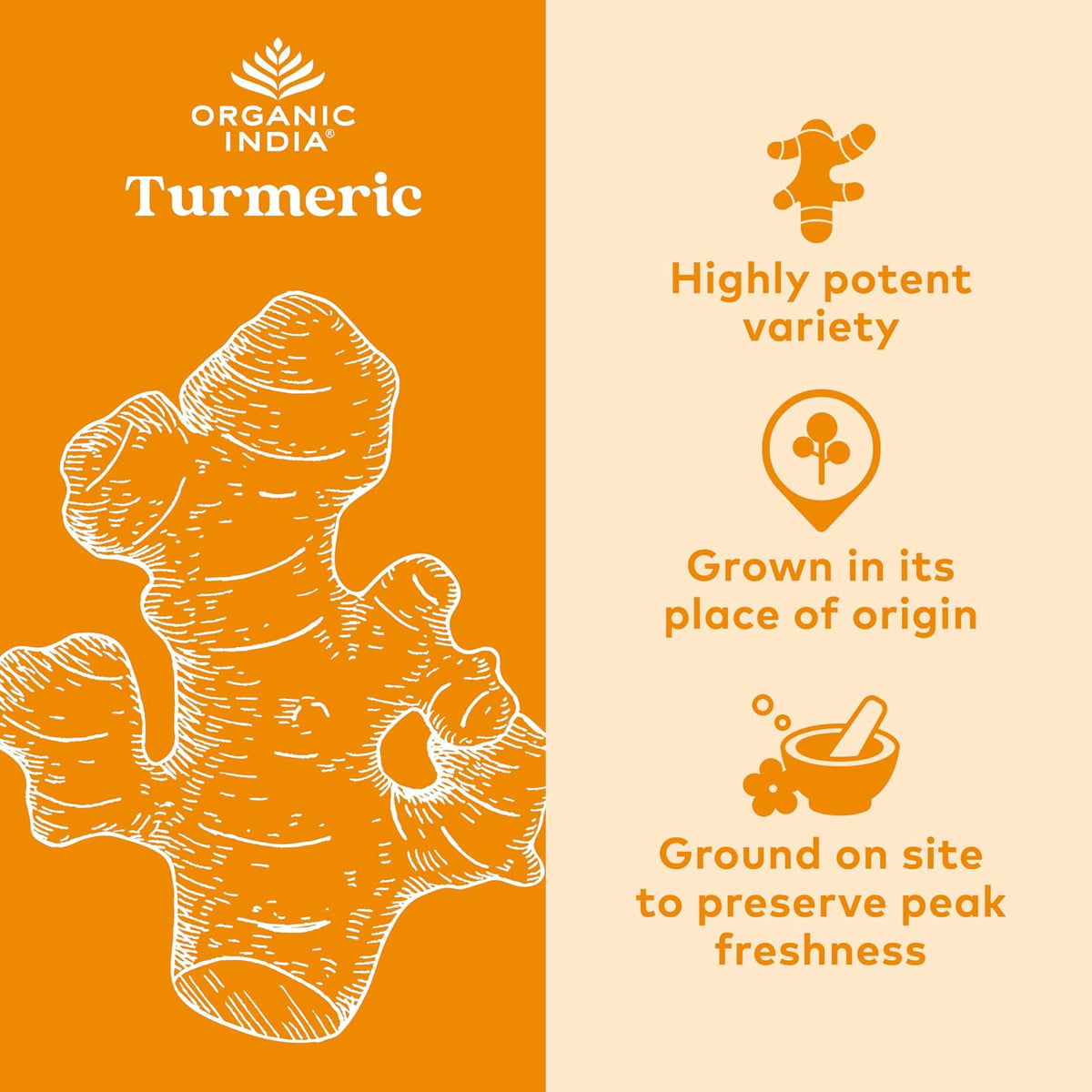 turmeric with black pepper benefits