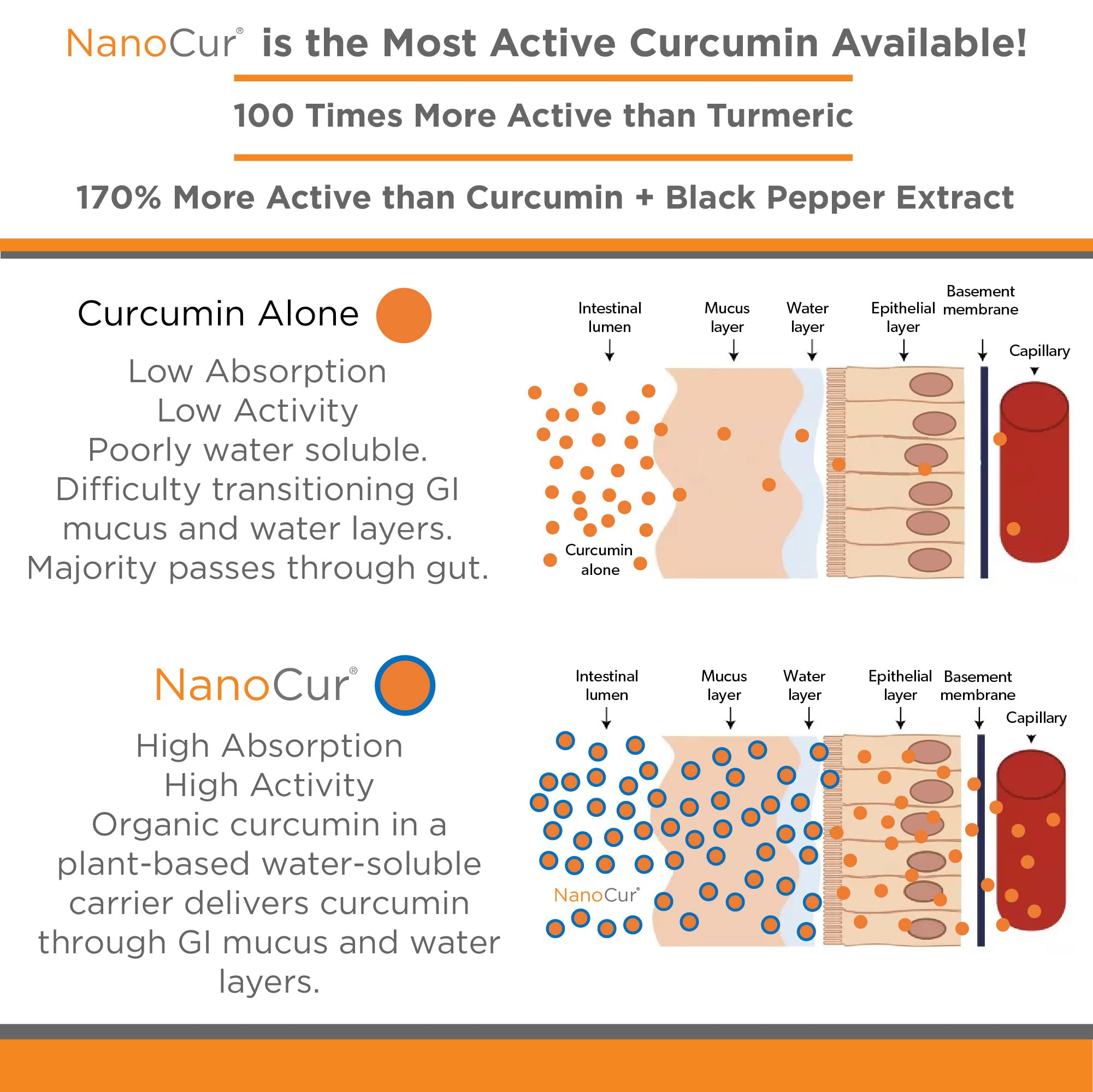 turmeric with black pepper extract