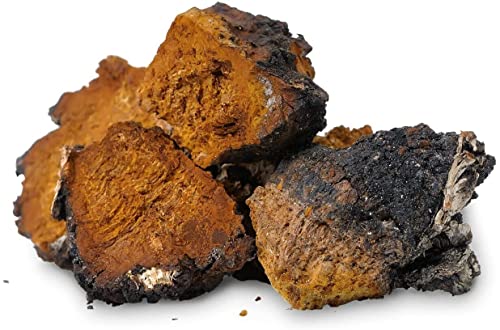 Twelve Rivers mushroom blend advantages
