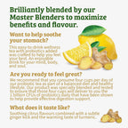 Twinings herbal tea for digestive health