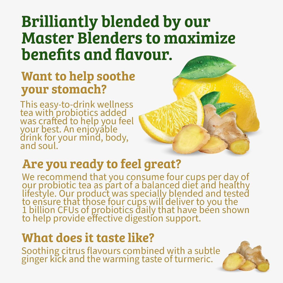 Twinings herbal tea for digestive health