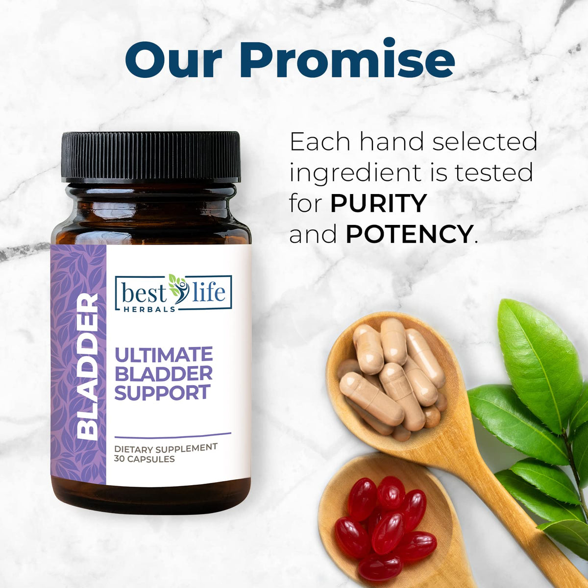 Two bottles of bladder health multivitamins