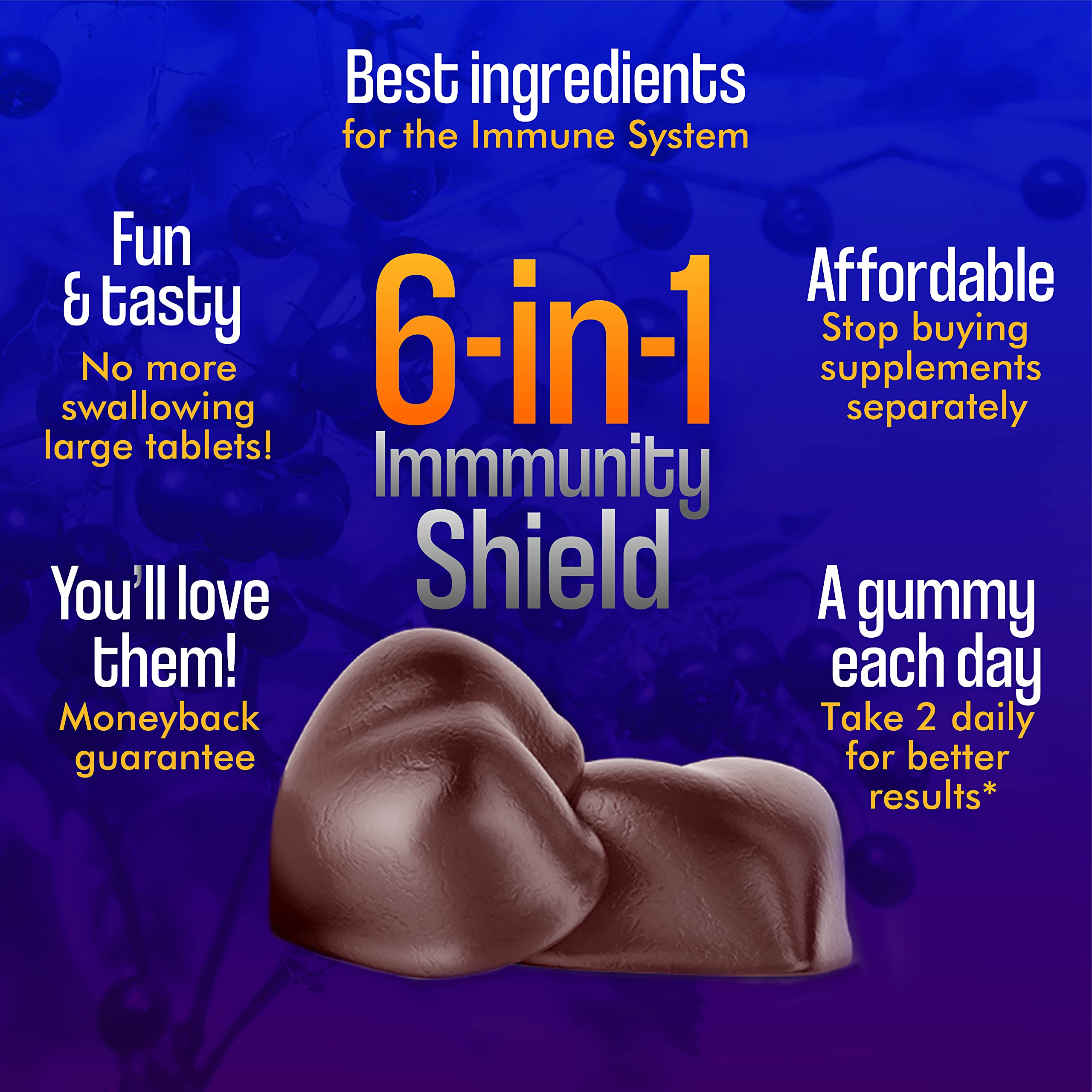 two month supply elderberry gummies