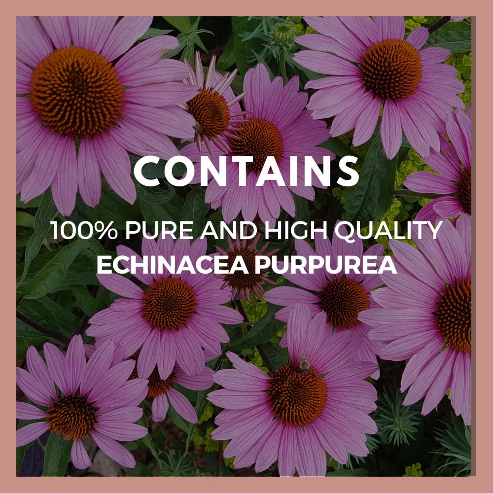 Two month supply of echinacea