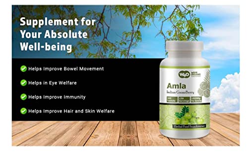 Two-pack Amla extract capsules