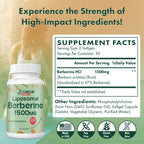 Two pack berberine value