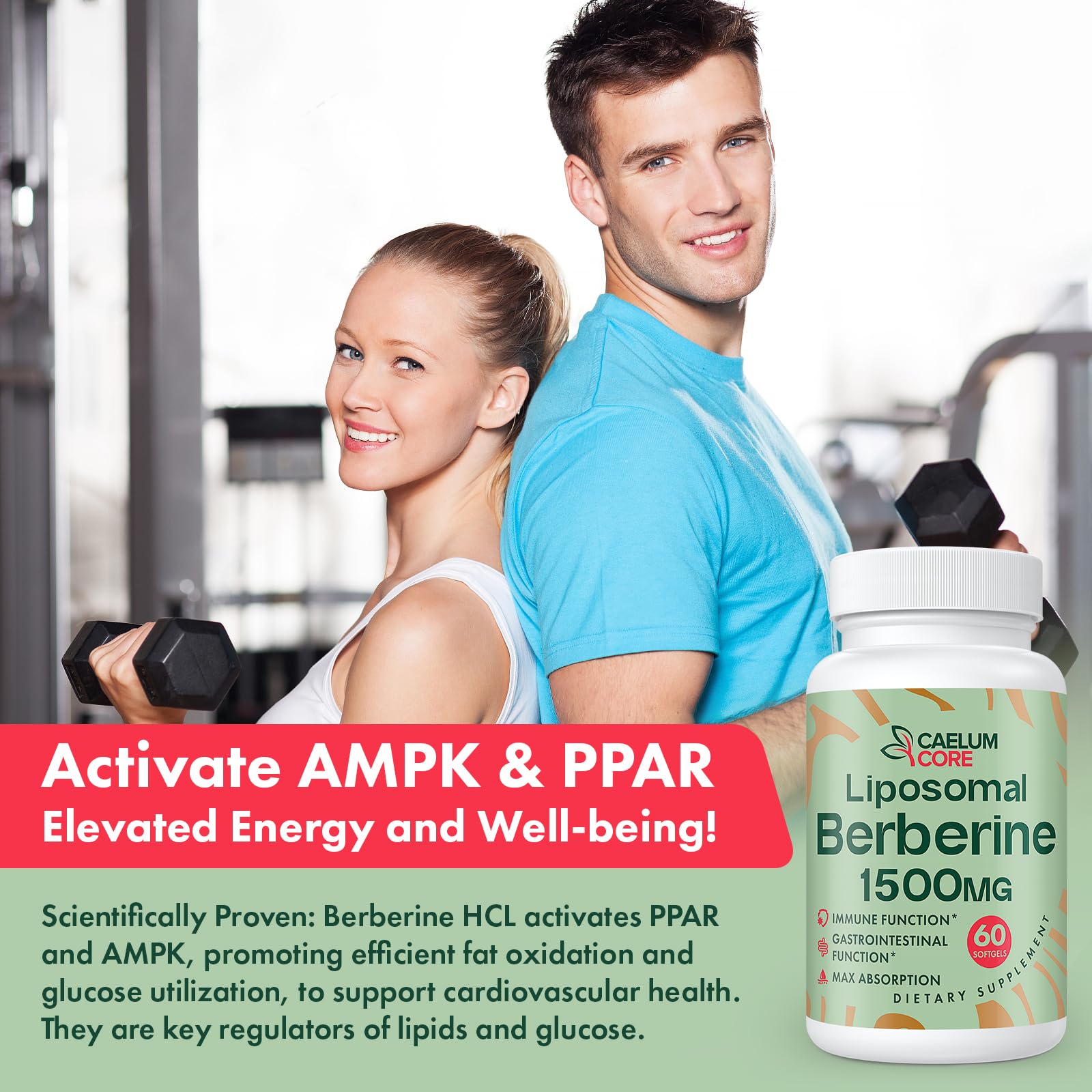 Two-pack liposomal berberine value