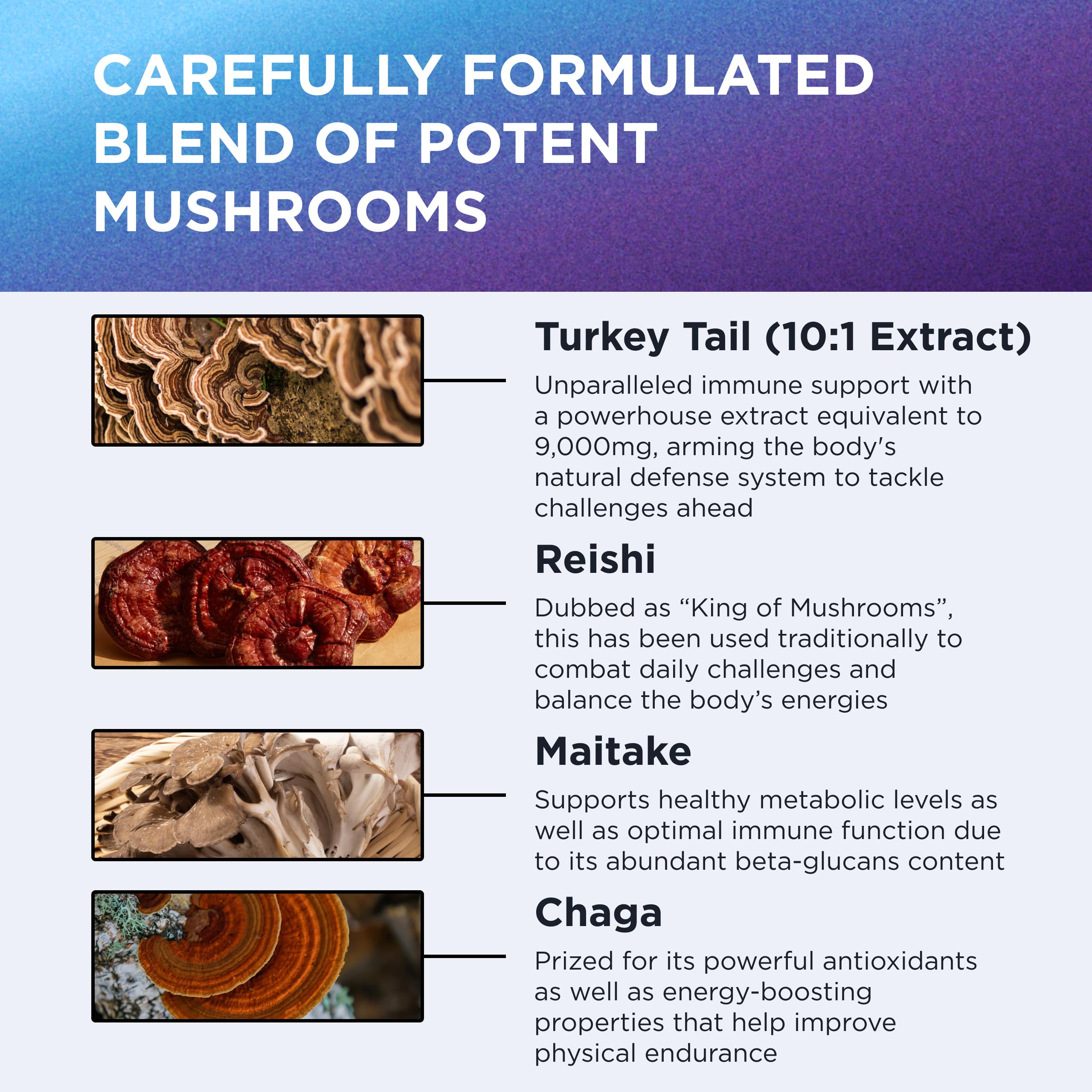 two pack of mushroom capsules