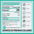 Type 1 and 3 collagen benefits
