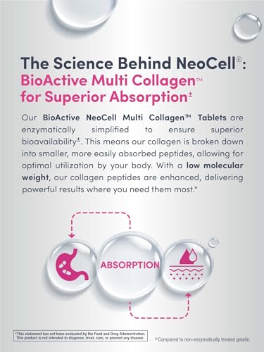 type 2 collagen for joint support